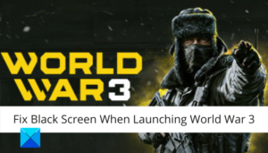 Fix Black Screen when launching World War 3