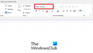 How to change the font face, size, and color in Access