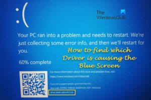 How to find which Driver is causing the Blue Screen on Windows?