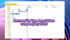 Remove File Type Associations using Registry Editor in Windows 11/10