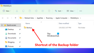 How to change iTunes backup location in Windows 11/10