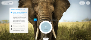 Free File-sharing websites to send Large files