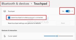 Two finger scroll not working in Windows 11/10