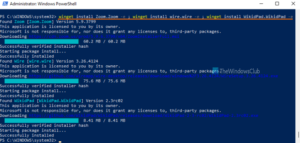 Install multiple Programs at once using free Bulk Software Installer for PC