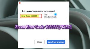 Fix Zoom Error Code 103033 on Windows PC