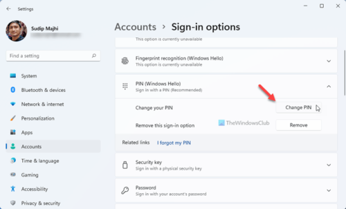 Change Password, PIN, Picture Password Sign in options in Windows 11/10