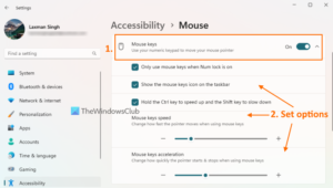 How to move Mouse Pointer with Keyboard in Windows 11/10