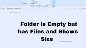 Folder is Empty but has Files and Shows Size in Windows 11