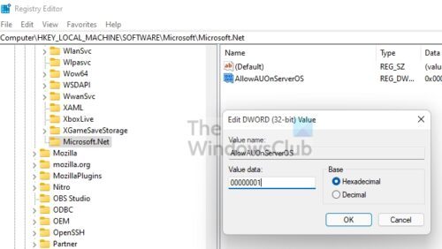 How to enable Automatic .NET Updates in Windows Server