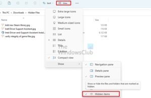 Folder is Empty but has Files and Shows Size in Windows 11