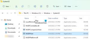 Windows Driver Foundation missing, failed to load or not working