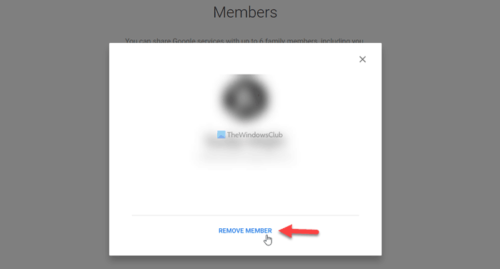How to share Google One storage with Family