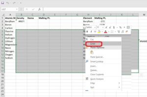 How to convert Excel Spreadsheet into a Word Document