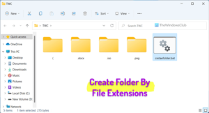 How to sort Files by Extension into separate Folder in Windows 11/10