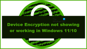 Device Encryption not showing or working in Windows 11/10