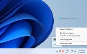 How to disable Ctrl Scroll zoom in Windows 11/10