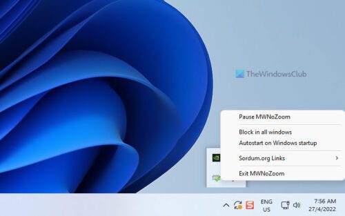 How to disable Ctrl Scroll zoom in Windows 11/10