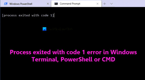 Process exited with code 1 error in Windows Terminal, PowerShell or CMD