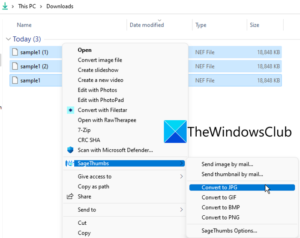How to convert NEF to JPG, PNG, GIF in Windows 11/10