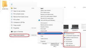 How to share Files and Folders using File Explorer on Windows 11