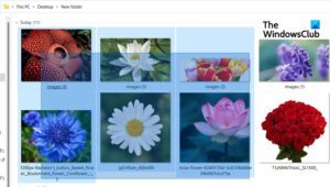 Select, Copy and Paste, Delete, Rename Multiple Files and Folders
