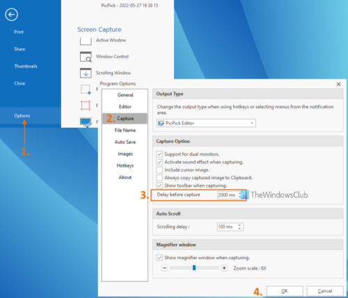 How to take Delayed Screenshots in Windows 11/10