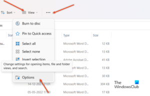 Word cannot open file because file format does not match file extension