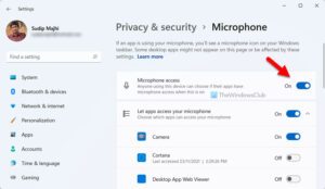 Voice Typing not working in Windows 11