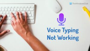 Voice Typing not working in Windows 11