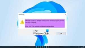 Client License Service (ClipSVC) service terminated unexpectedly