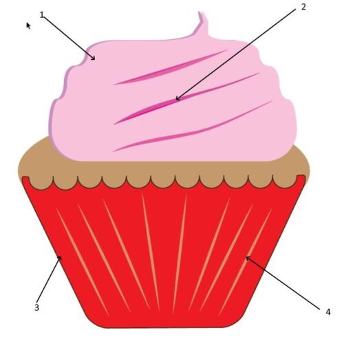 How to make a Cupcake in Adobe Illustrator