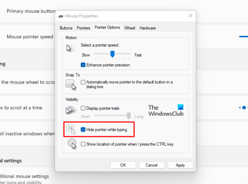 How to hide Pointer while Typing in Windows 11/10