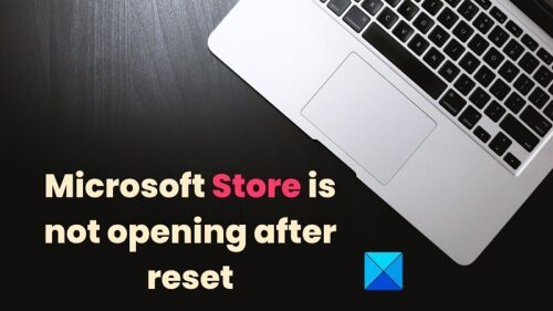 Microsoft Store not opening or closes immediately after opening
