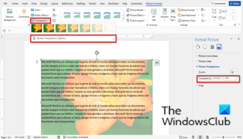 How to make a Picture transparent in Word