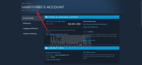 How to find Steam ID on PC or Mobile