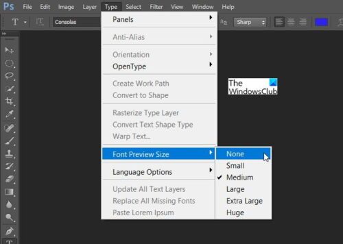Photoshop keeps lagging, closing itself or flickering on PC