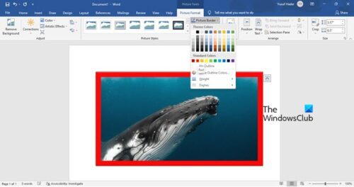 How to add a border to Picture in Windows 11/10