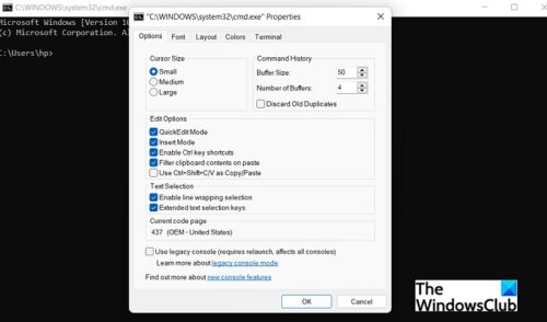Ctrl+C and Ctrl+V not working in Windows 11/10