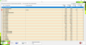 How to use SysInternals Process Explorer tool for Windows 10