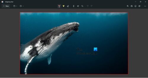 How to add a border to Picture in Windows 11/10