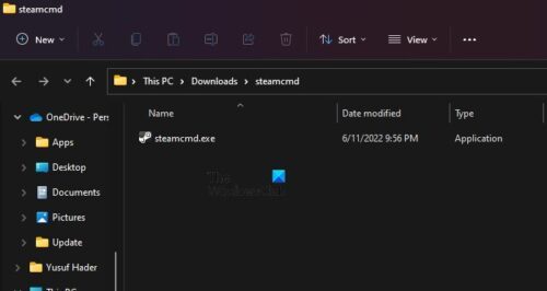 How to use SteamCMD on Windows PC