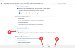 How to Enable or Disable Magnifier on Windows 11/10