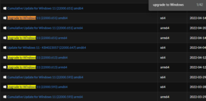 How to download and install Windows 11 ARM with ISO