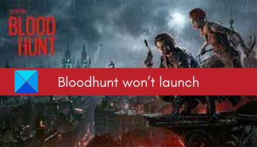 Vampire The Masquerade Bloodhunt not launching or loading