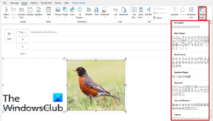 How to enable and use Crop to Shape button In Outlook