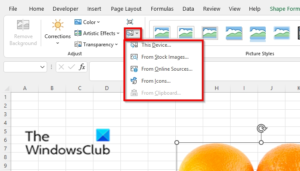 How to format or edit an Image in Excel