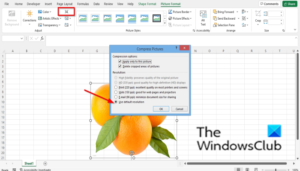 How to format or edit an Image in Excel