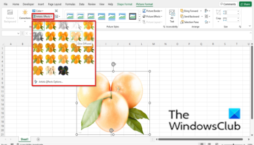 How to format or edit an Image in Excel