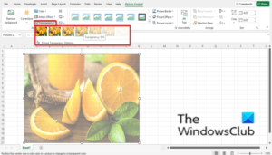 How to format or edit an Image in Excel