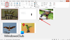 How to switch between Views in PowerPoint while presenting